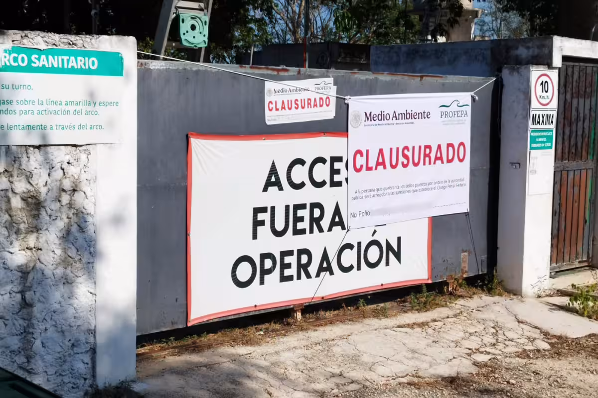 Profepa clausura la granja porcícola de Santa María Chi en Mérida - PorEsto