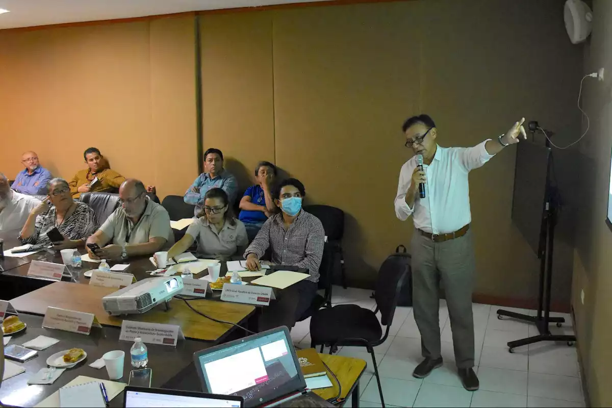 Marea roja en Yucatán registra tendencia a la baja en la presencia de ...