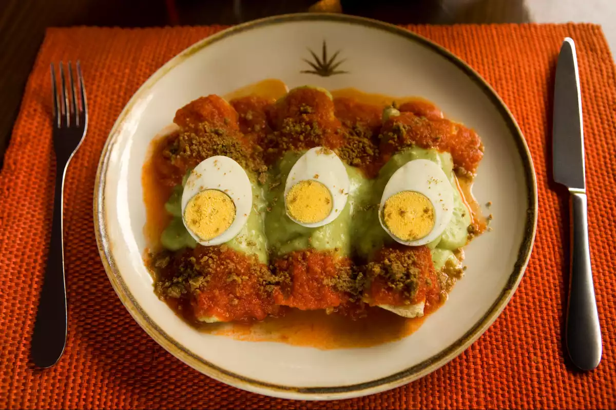 Papadzul en Campeche: El platillo de origen maya; así puedes prepararlo ...