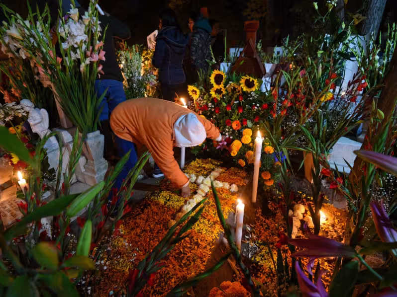 La flor de cempasúchil: Historia y significado en el Día de Muertos ...