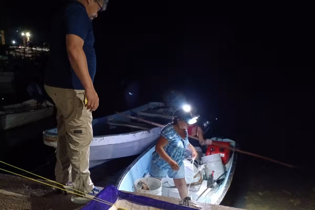 Detectan pesca ilegal de caracol en veda en el puerto de San Felipe ...