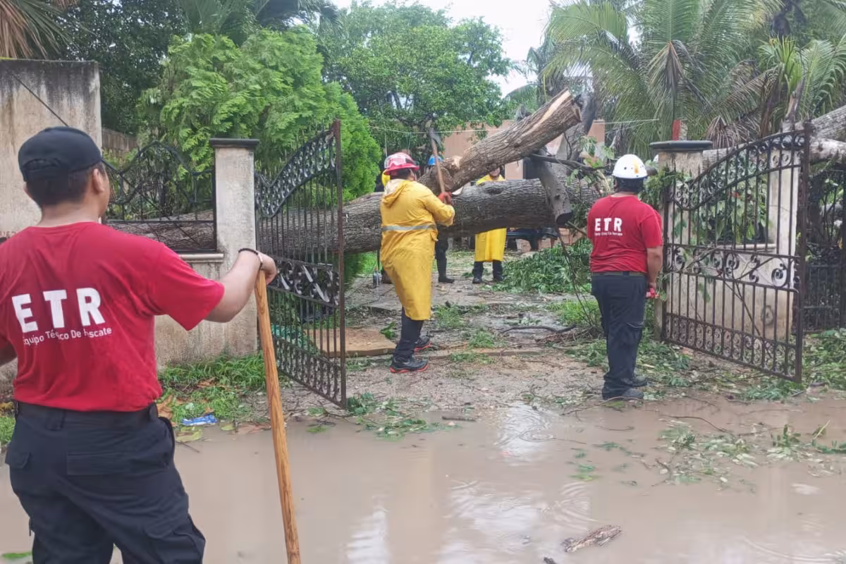 Tormenta Tropical Beryl deja ola de destrucción en Motul, Yucatán - PorEsto