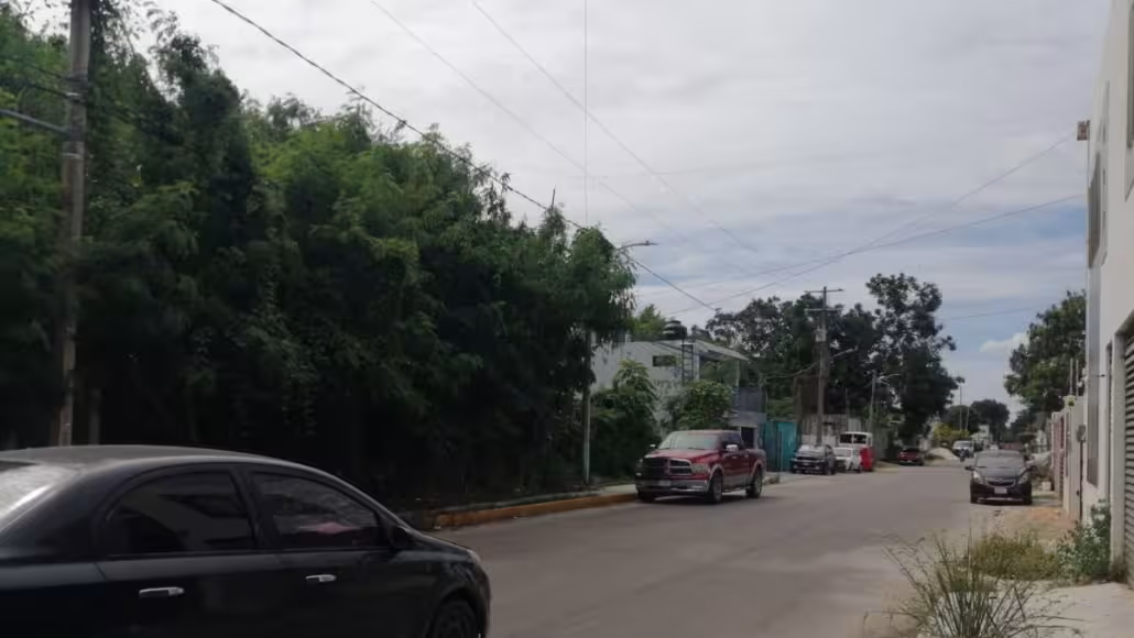 Viven con miedo más de 90 familia de la colonia Magisterial de Chetumal ...