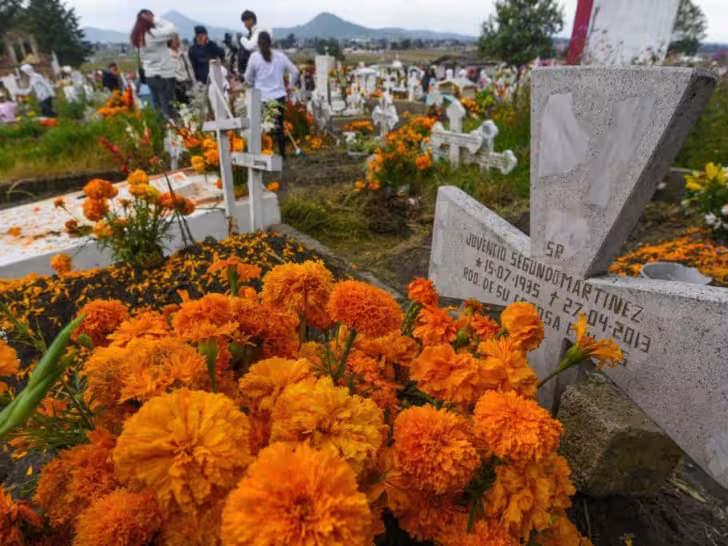La flor de cempasúchil: Historia y significado en el Día de Muertos ...