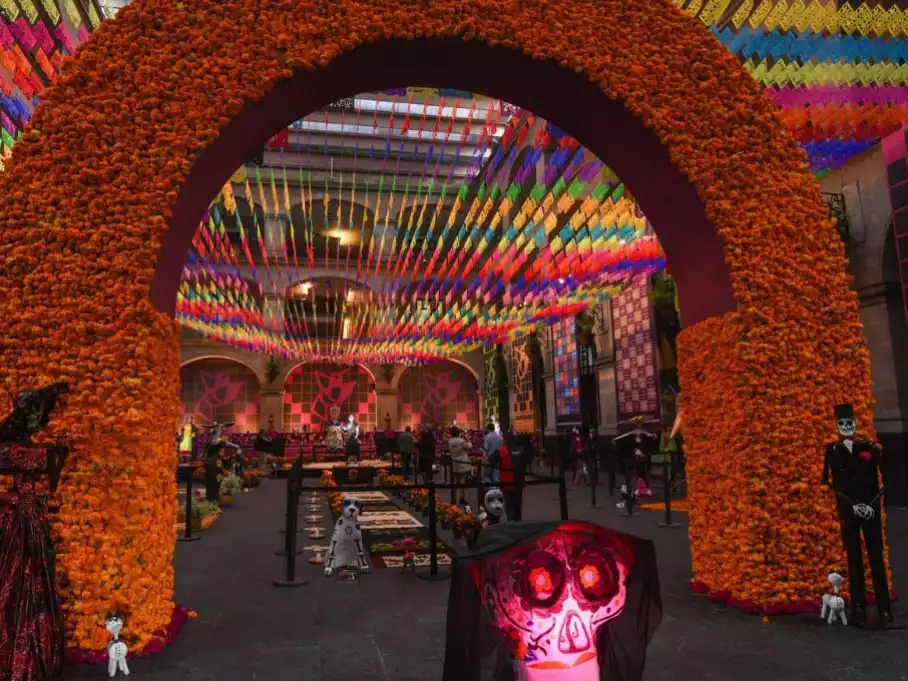 La flor de cempasúchil: Historia y significado en el Día de Muertos - PorEsto