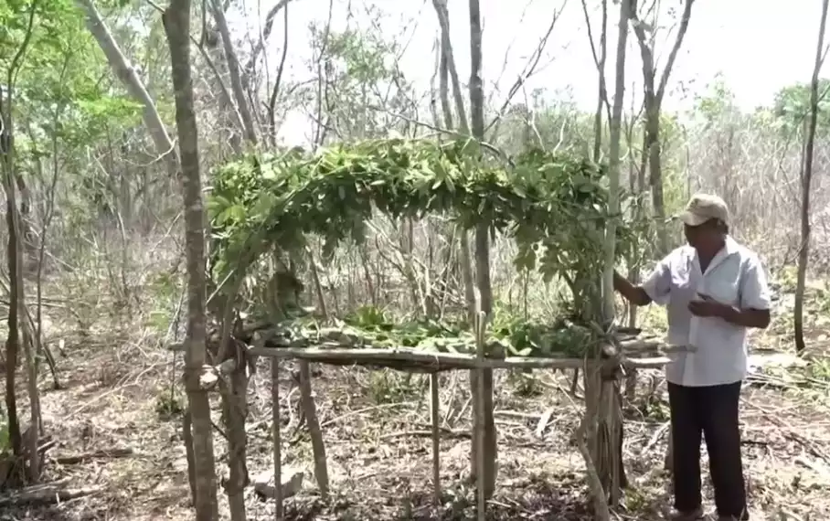Cha'a Cháak: El ritual maya para pedir lluvias en Campeche; ¿en qué ...