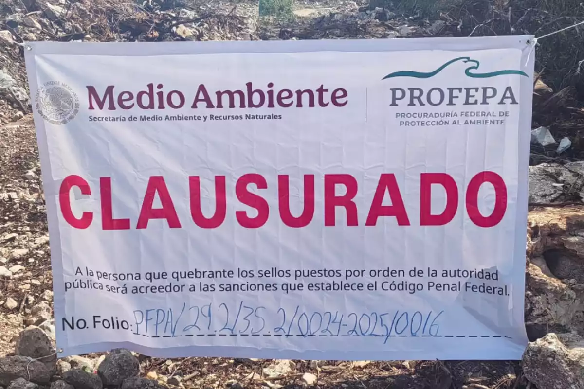 Reportan supuesta violación a los sellos de clausura de la Profepa a ...