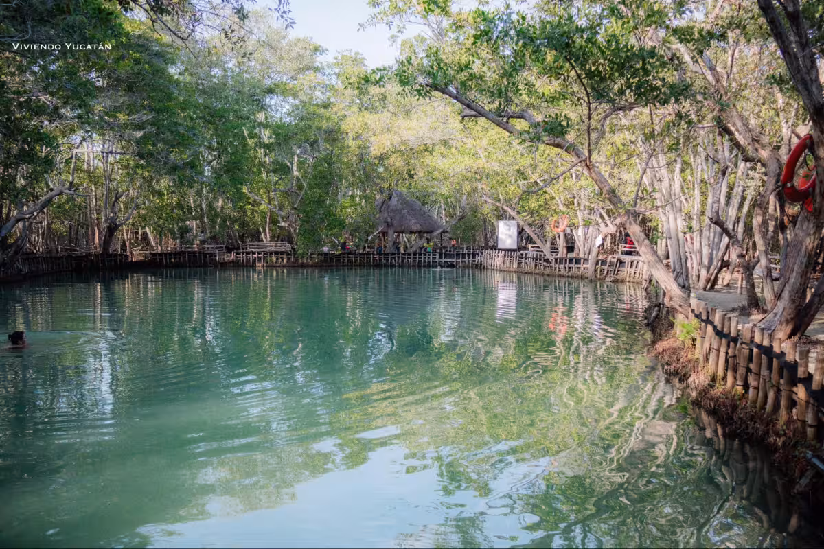 El Corchito, área natural ideal para visitar en Semana Santa en Yucatán ...
