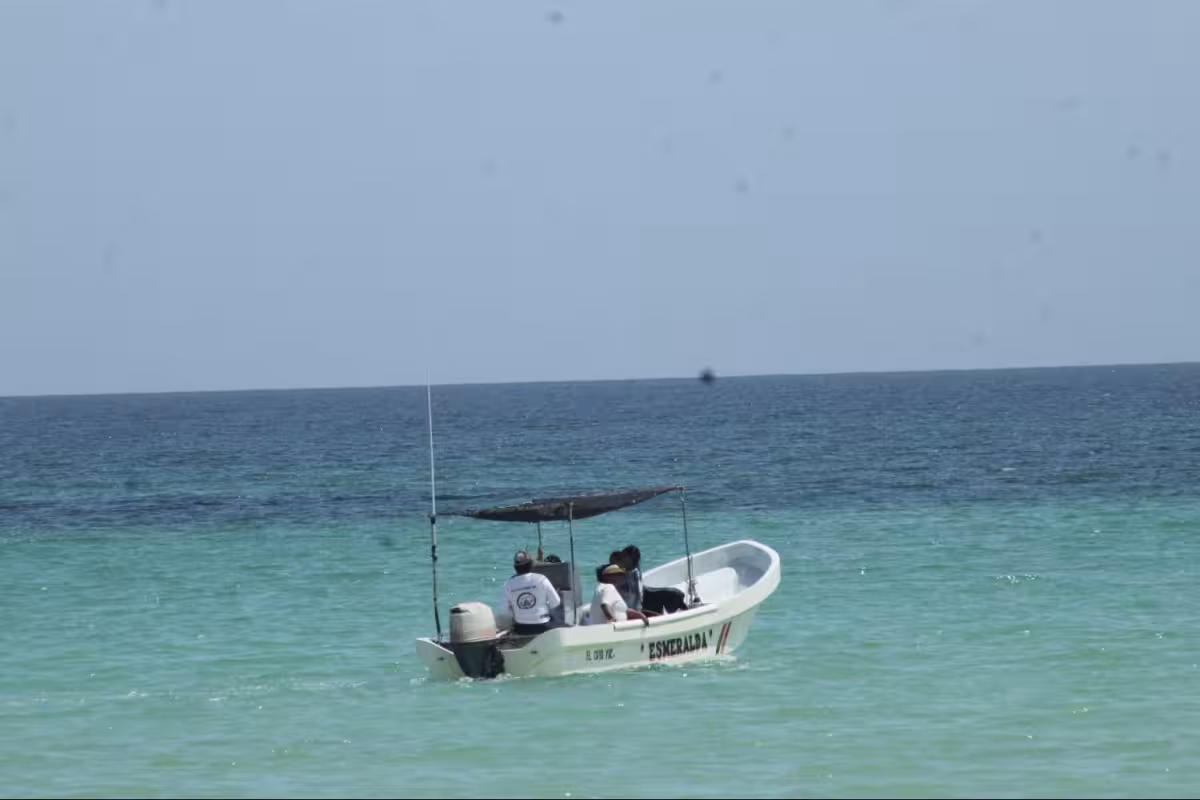 Mancha de ‘agua mala’ en la costa Oriente de Yucatán ahuyenta a las ...