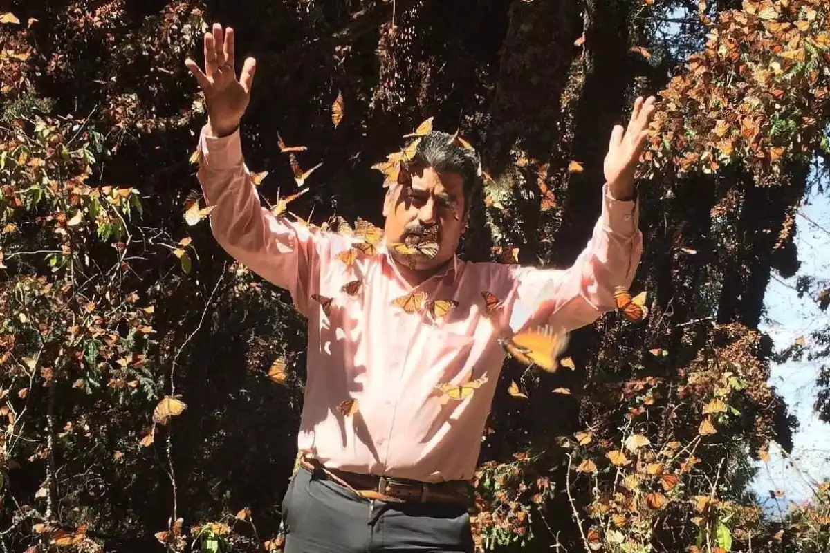 'El Guardián de las Monarcas': Todo lo que debes saber del documental ...