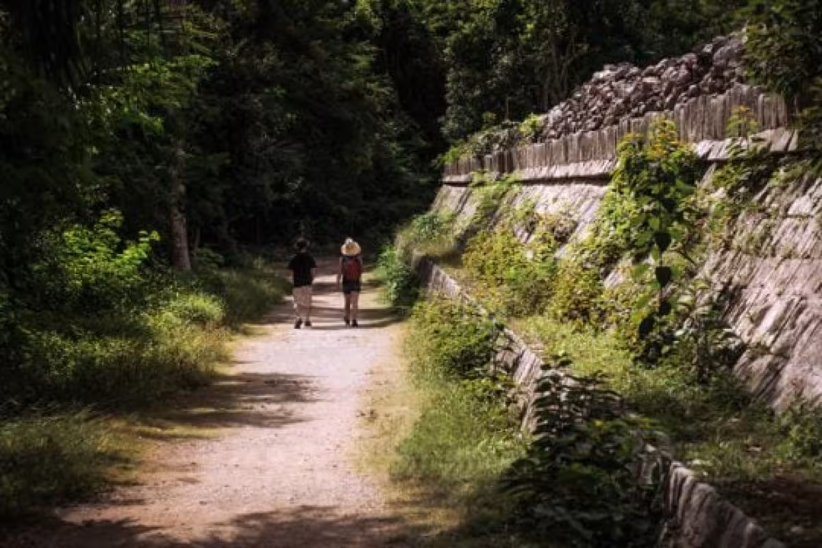 A un año de Ocomtún: Resurge el hallazgo maya en la región de Calakmul ...