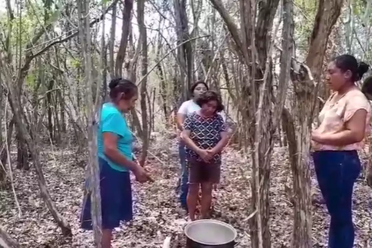 “Sacab al monte": Familiares recurren a ofrenda maya para encontrar a ...