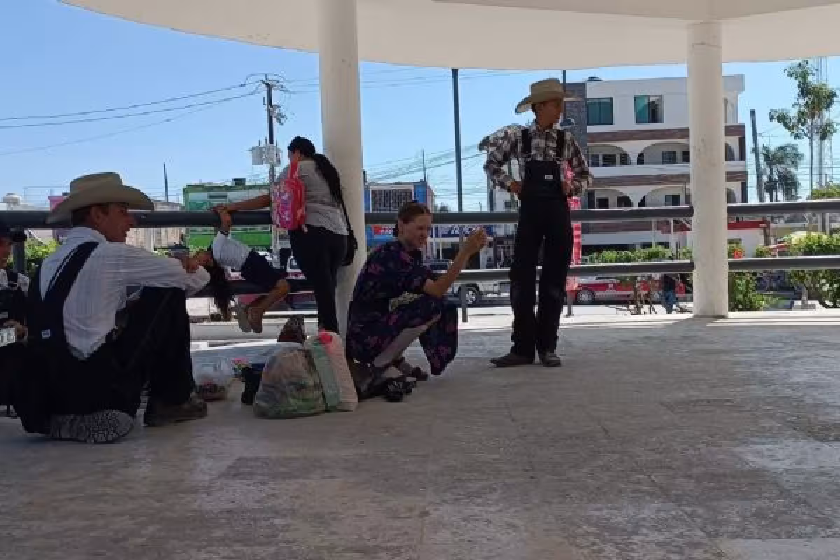 Servicio Militar Nacional busca enlistar a jóvenes menonitas de ...