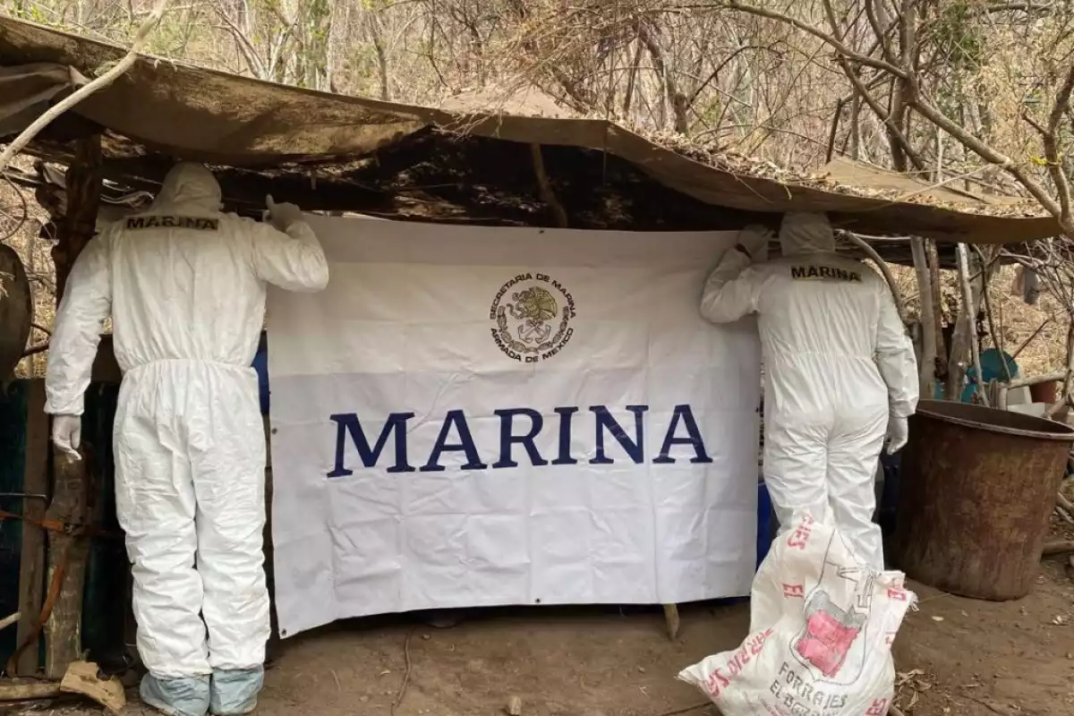 Marina Armada de México desmantela tres laboratorios de droga en ...