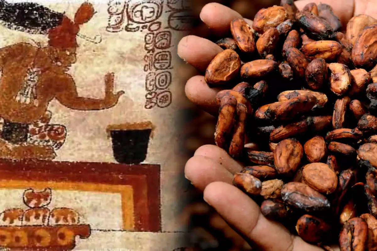 ¿Por qué el cacao era sagrado para los mayas? Su uso y legado en ...