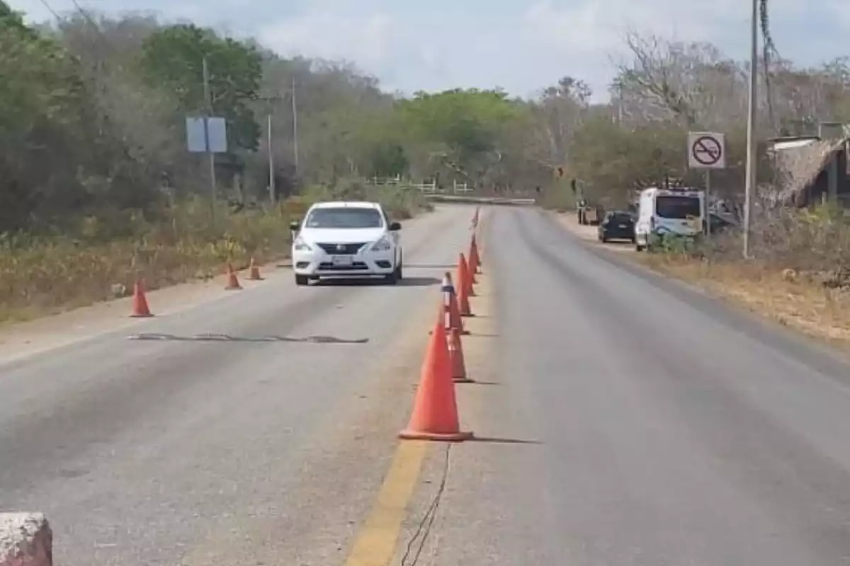 Detienen a albañiles por conducir ebrios, portar drogas y alterar el ...
