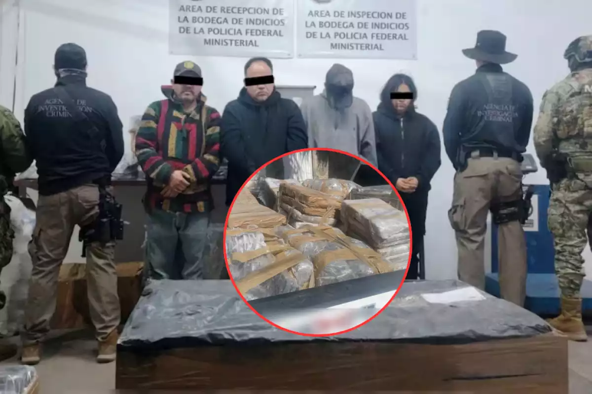 Cae célula criminal en Jalisco: Nueve detenidos y más de 3 toneladas de ...