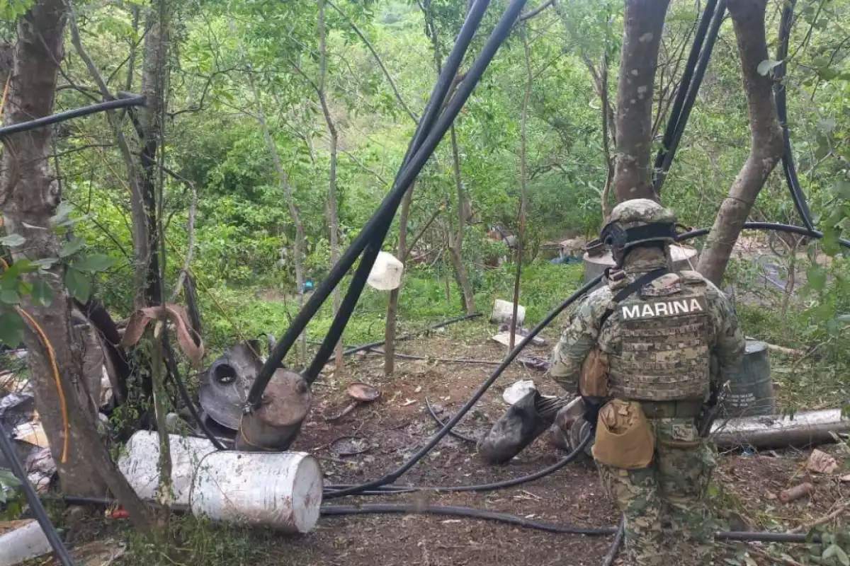 Fuerzas federales desmantelan dos laboratorios y aseguran 21 toneladas ...