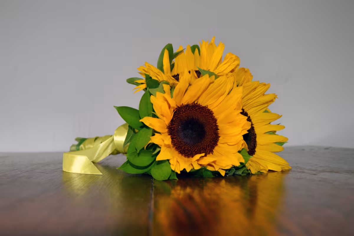 ¿Por qué se regalan flores amarillas el 21 de septiembre en Campeche ...