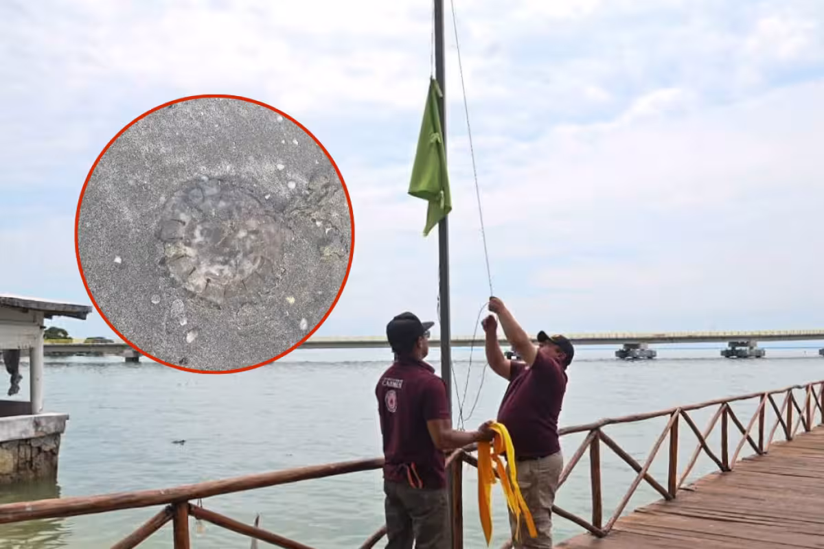Alertan por presencia de agua mala en playa de Ciudad del Carmen ...
