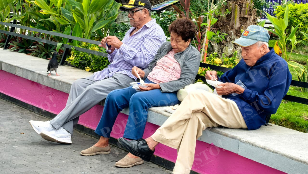 Pensión del Bienestar da tranquilidad económica a adultos mayores en ...